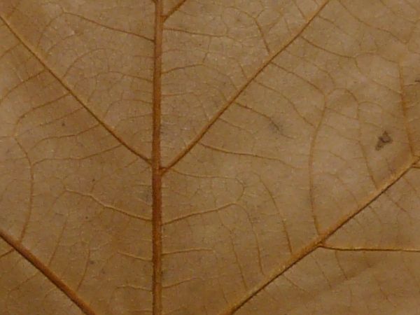 texture 0001 - Texturelib